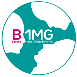 B1MG and the 1+MG project